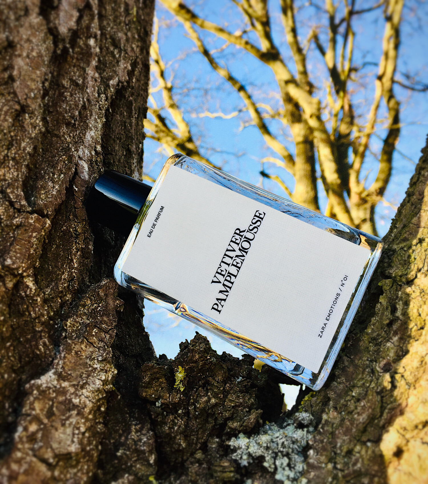 Vetiver Pamplemousse Zara perfume - a fragrance for women and men 2019