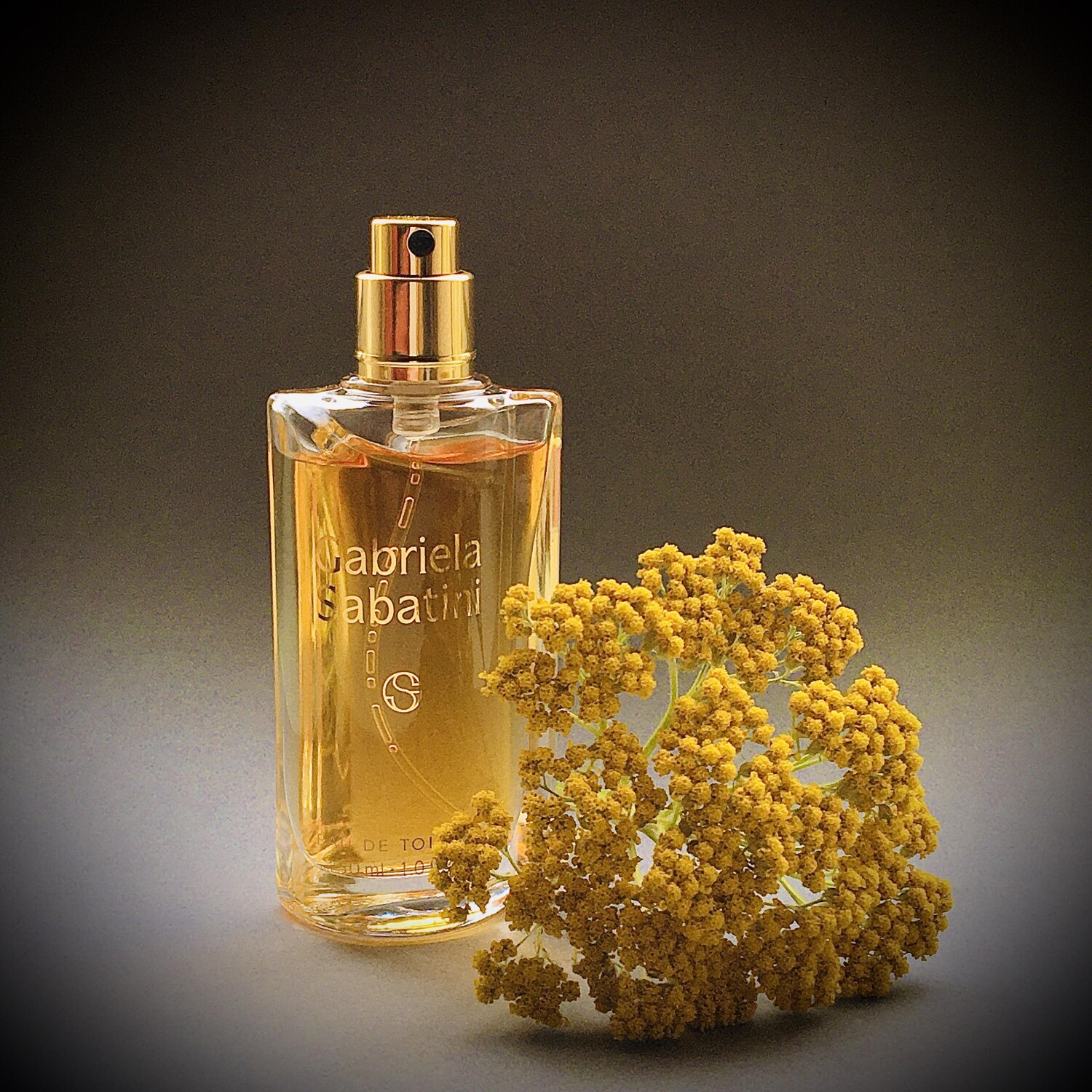 Gabriela Sabatini Gabriela Sabatini perfume - a fragrance for women 1989