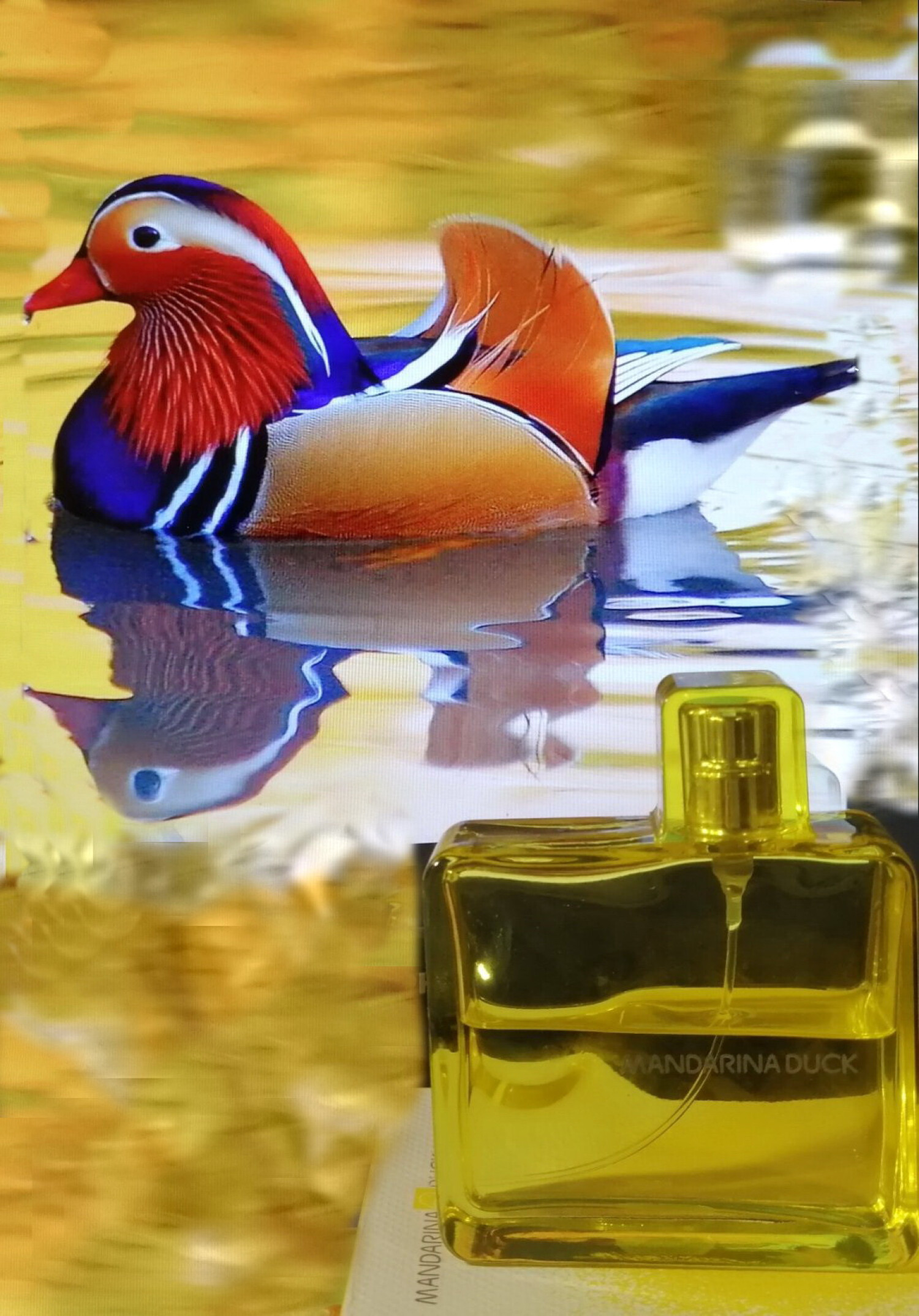Mandarina Duck Mandarina Duck perfume - a fragrance for women 2004