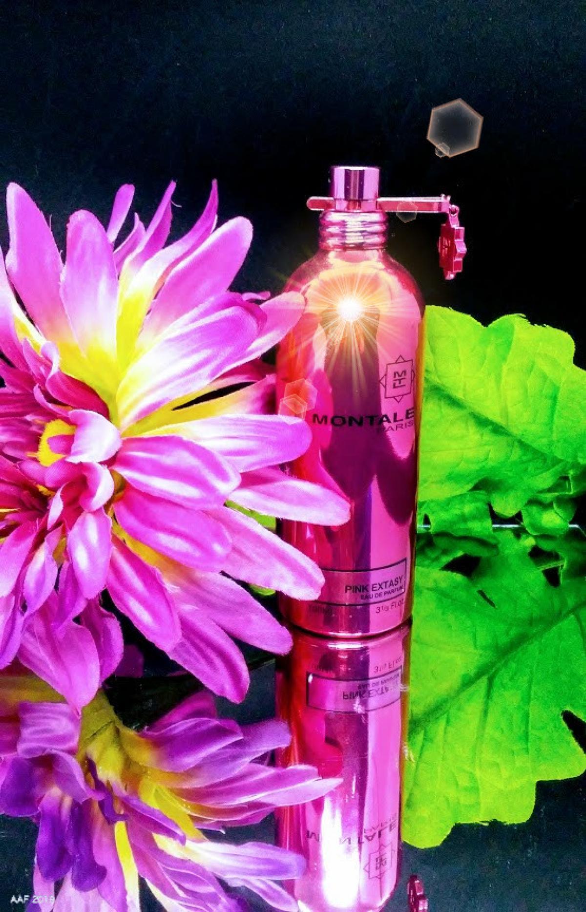 Pink Extasy Montale perfume - a fragrance for women 2014