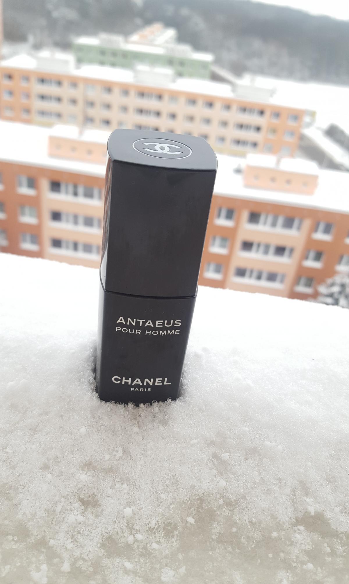 Antaeus Chanel cologne - a fragrance for men 1981