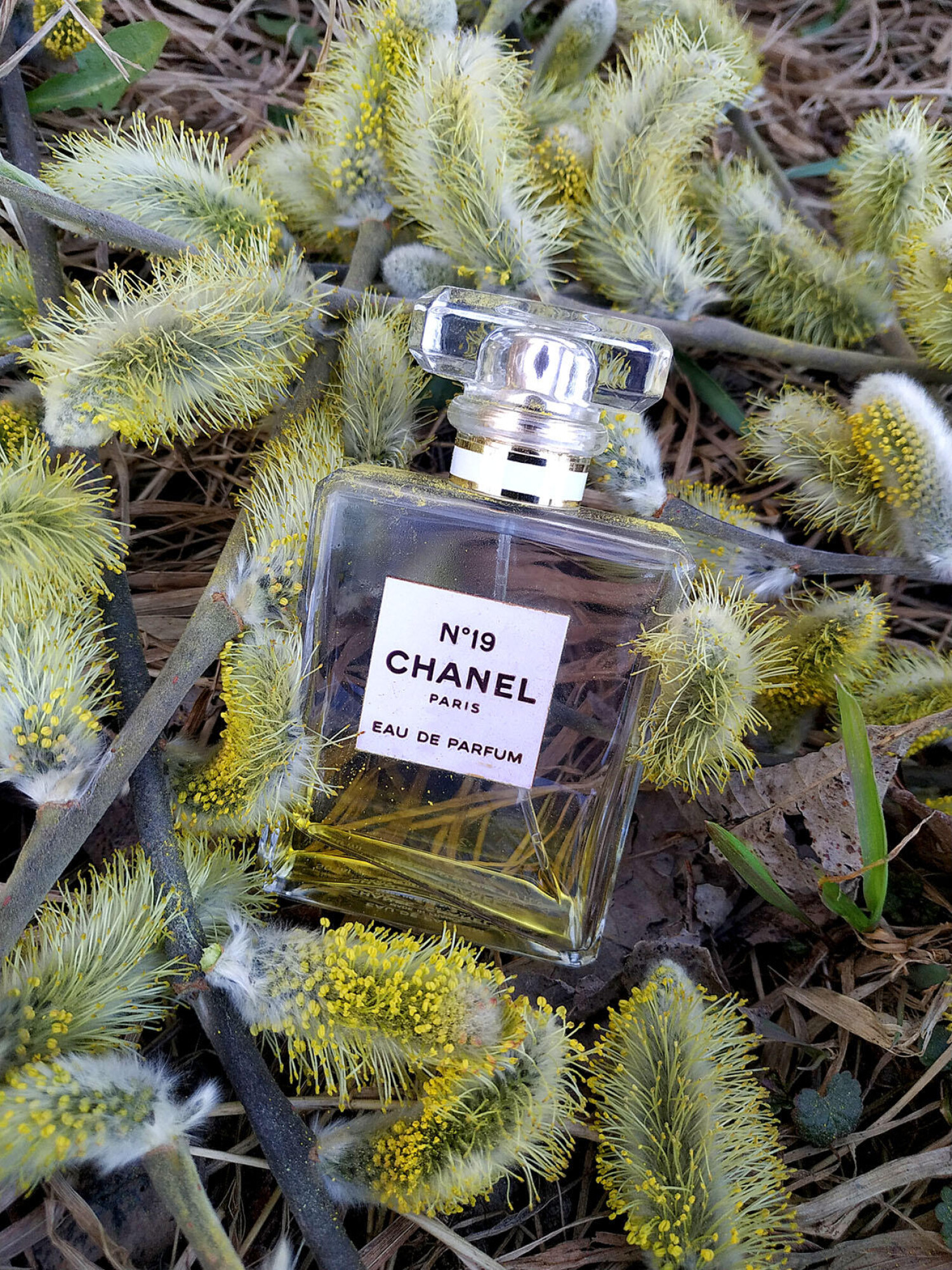 Chanel No 19 Eau de Parfum Chanel perfume - a fragrance for women