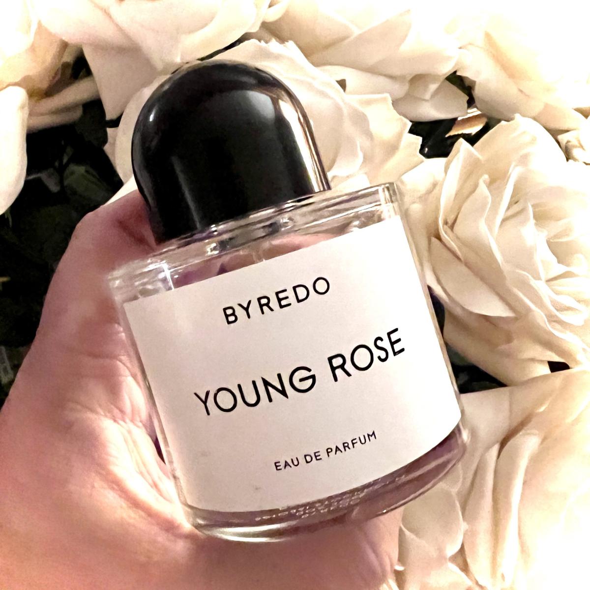 Young Rose Byredo perfume - a fragrance for women and men 2021