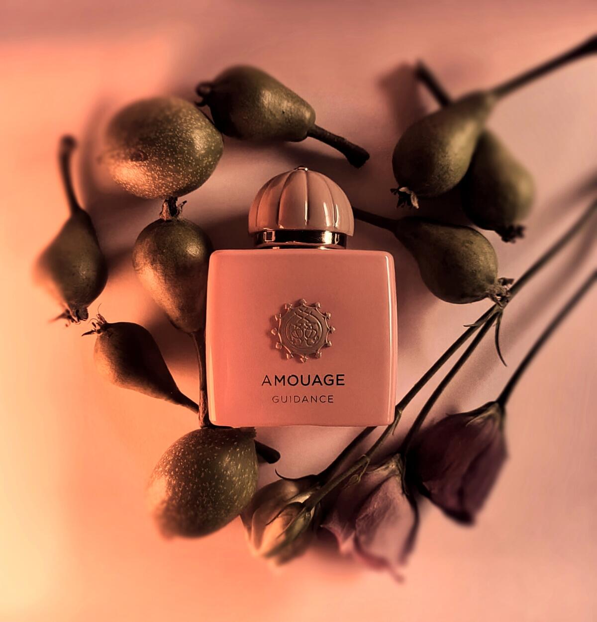 Guidance Amouage perfume - a new fragrance for women and men 2023