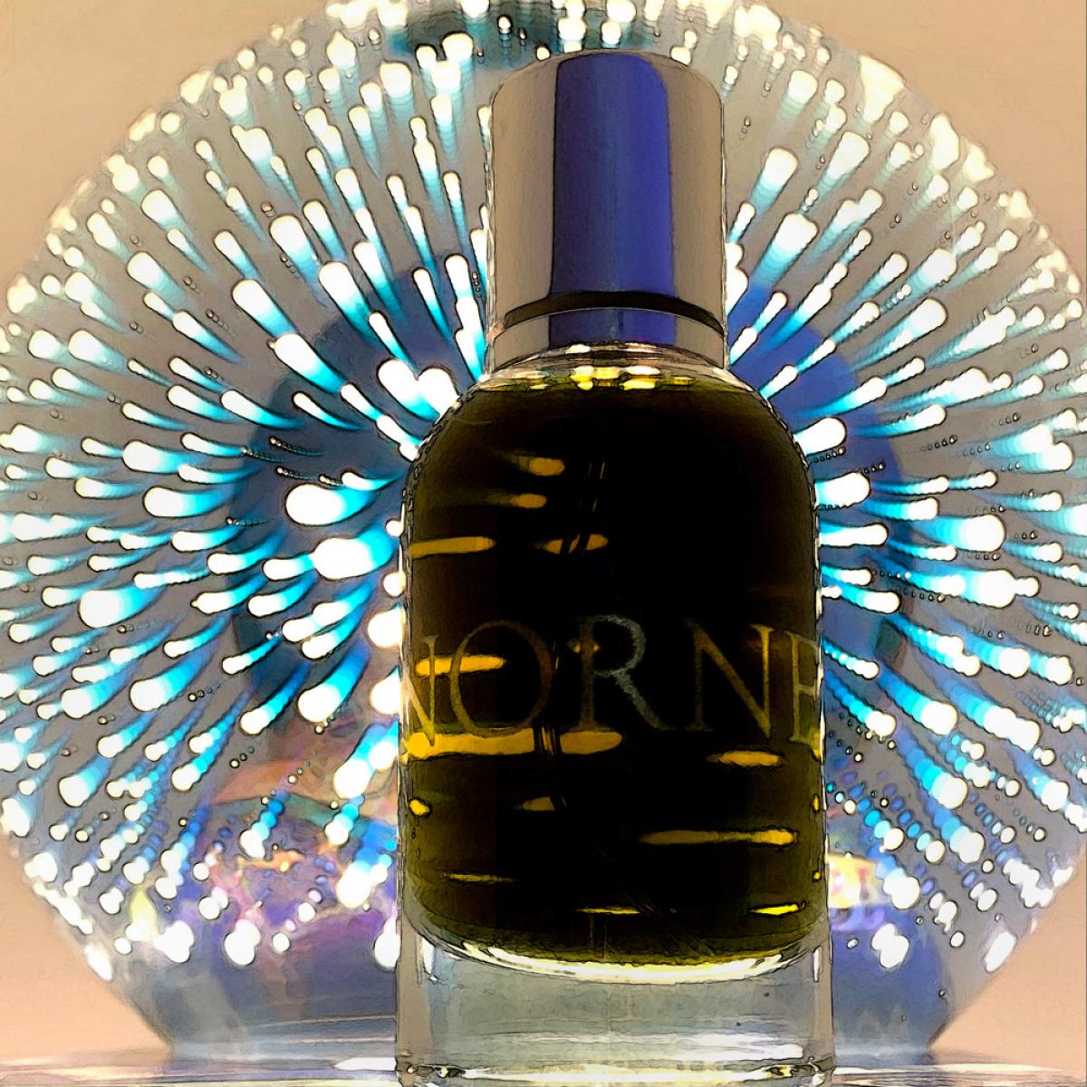 Norne Slumberhouse perfume - a fragrance for women and men 2012