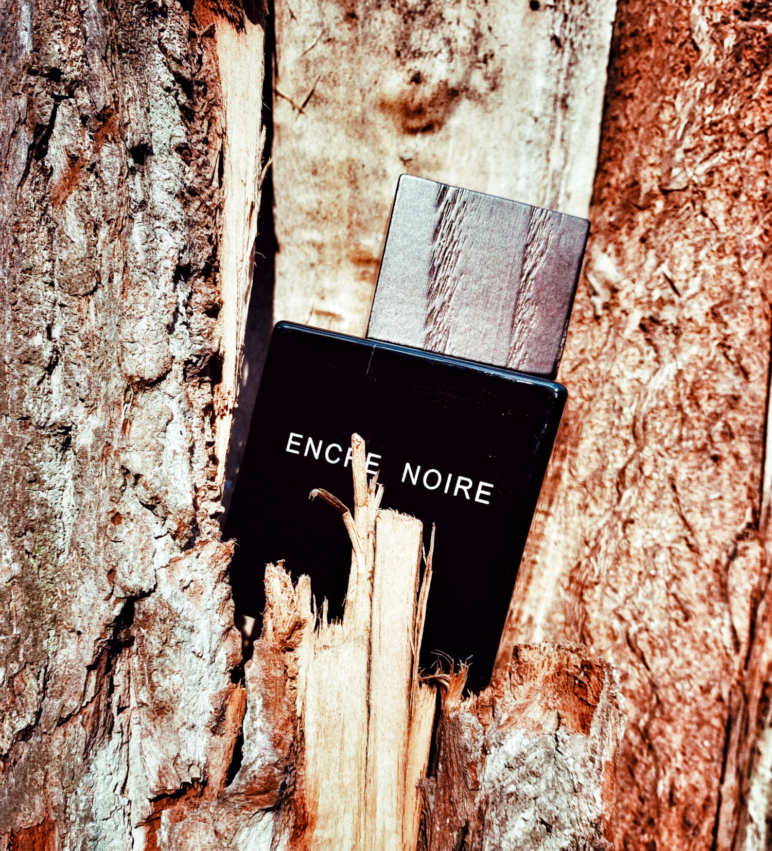 Encre Noire Lalique cologne - a fragrance for men 2006