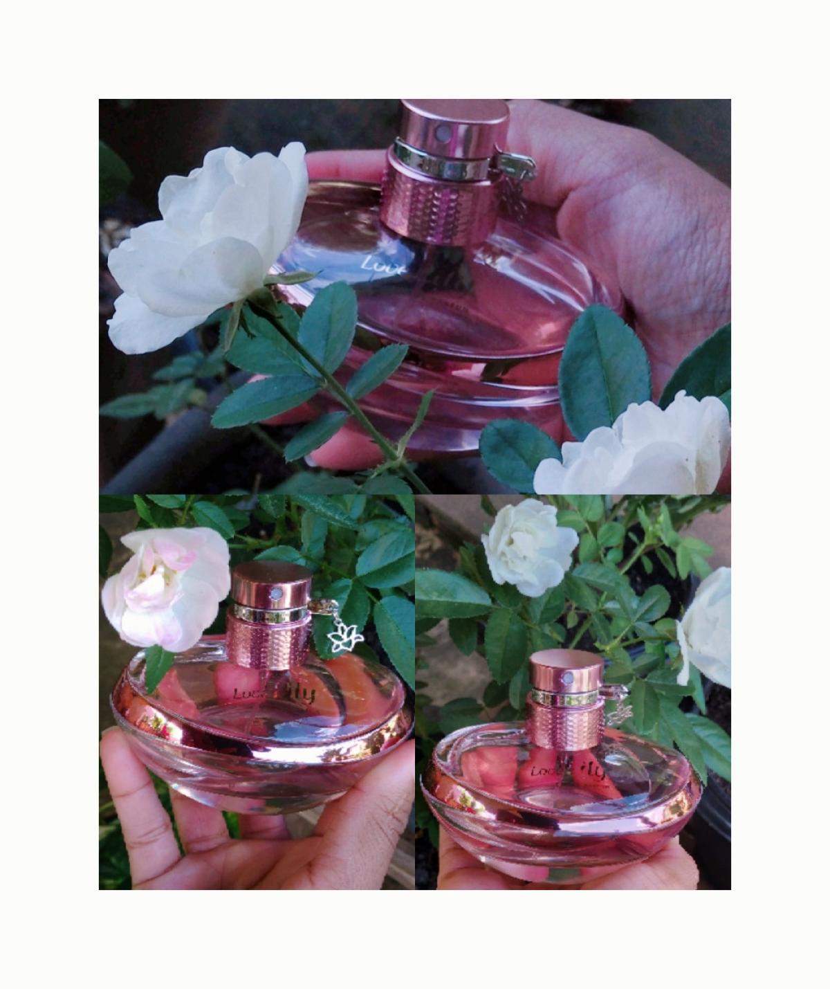Love Lily O Boticário perfume - a fragrance for women 2018