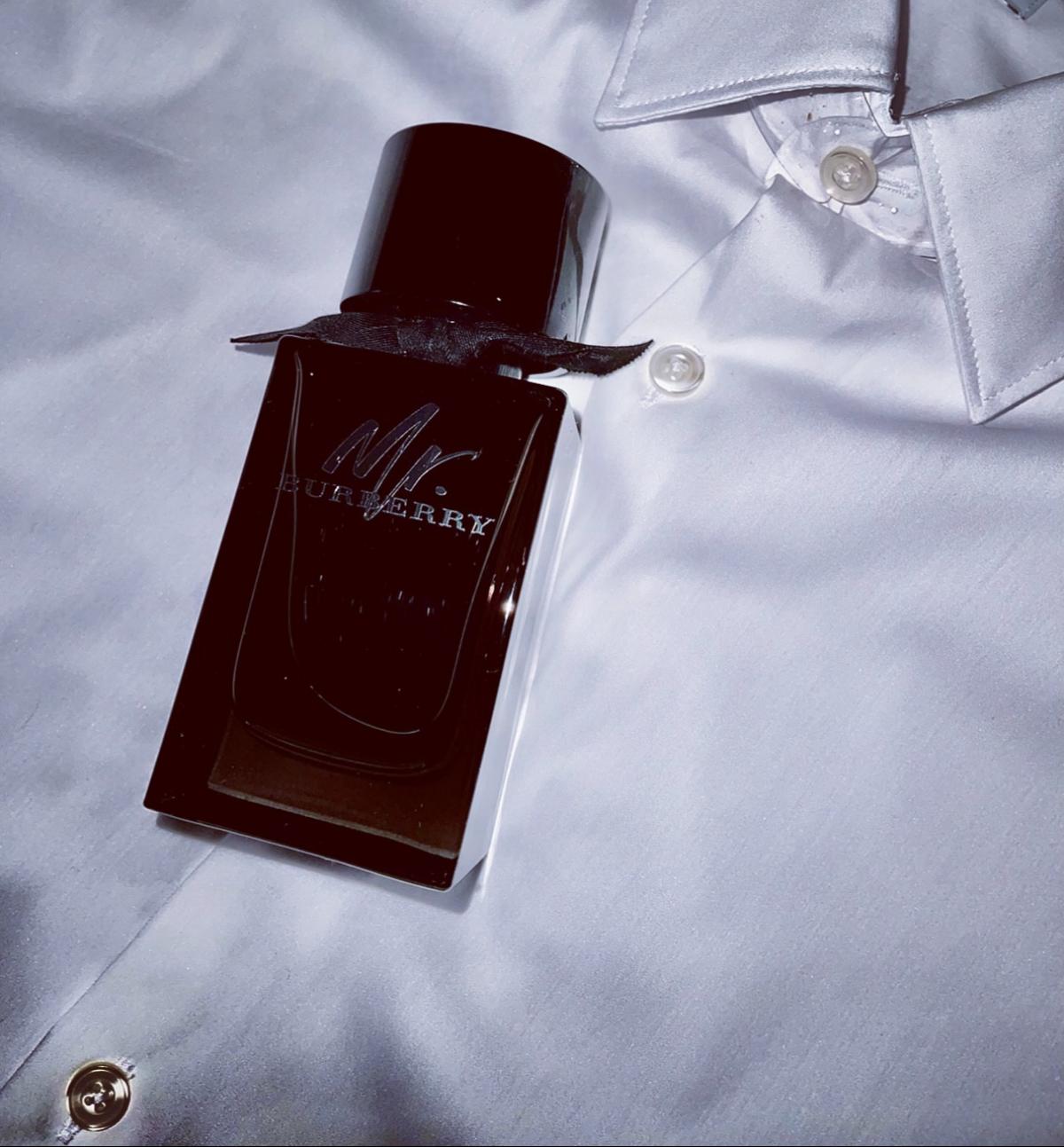 Mr. Burberry Eau de Parfum Burberry cologne - a fragrance for men 2017