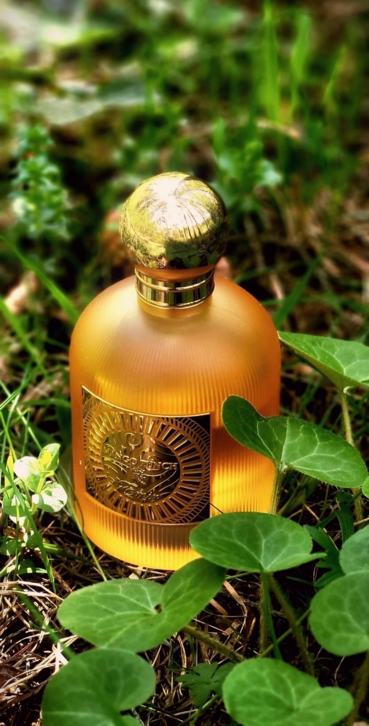 Mango Punch PARIS CORNER perfume - a novo fragrância Compartilhável 2025