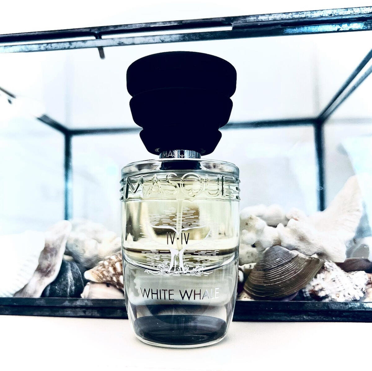 White Whale Masque Milano perfume - a fragrance for women and men 2022