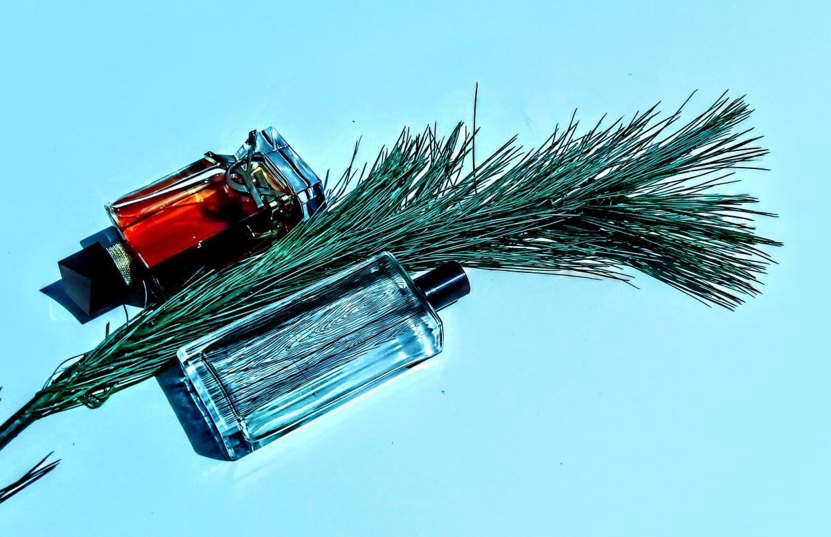 Arz el-rab Parfums Berdoues perfume - a fragrance for women and men 2015