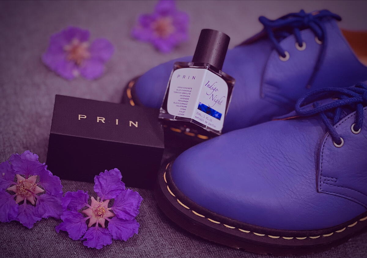 Indigo Night Prin perfume - a new fragrance for women and men 2024