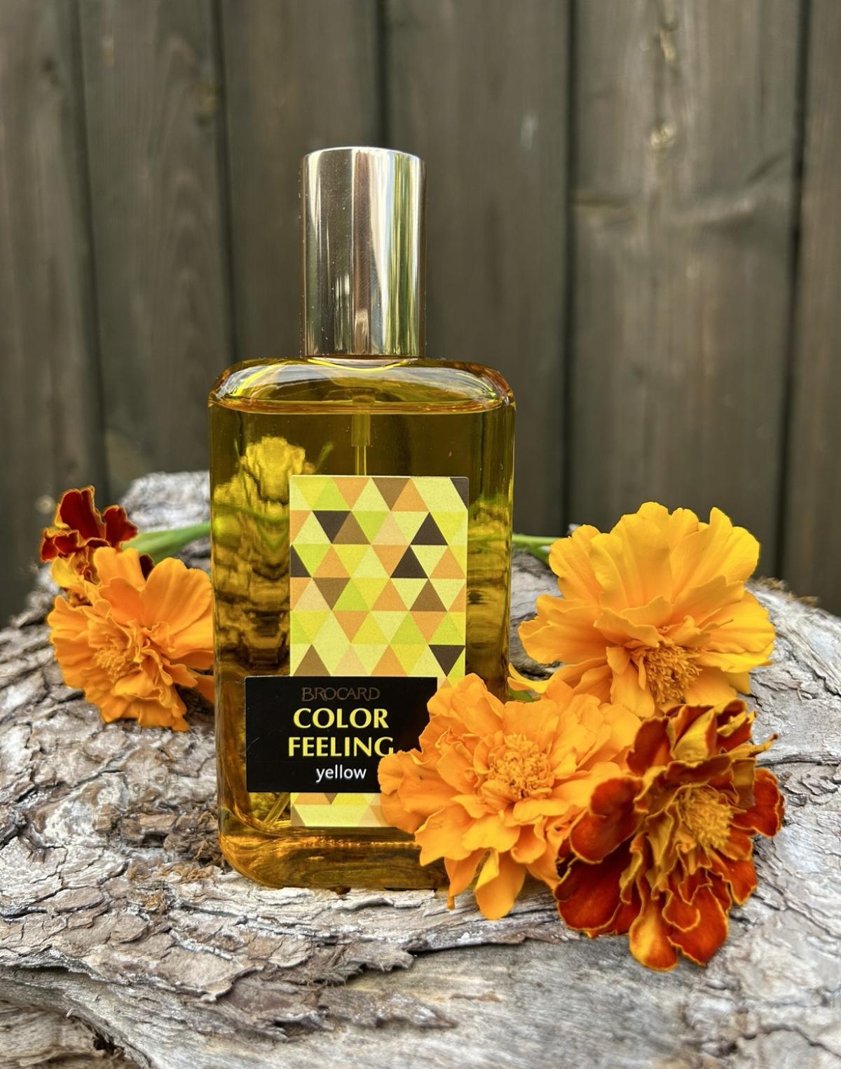 Color Feeling Yellow Brocard сүрчиг - a сүрчиг эрэгтэй эмэгтэй 2020