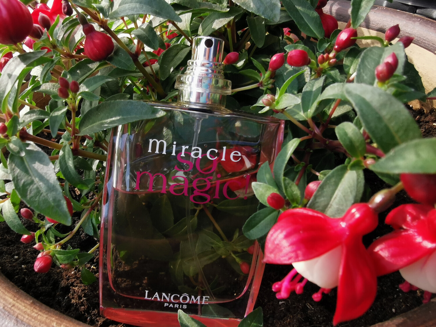 Miracle So Magic! Lancôme perfume - a fragrância Feminino 2004