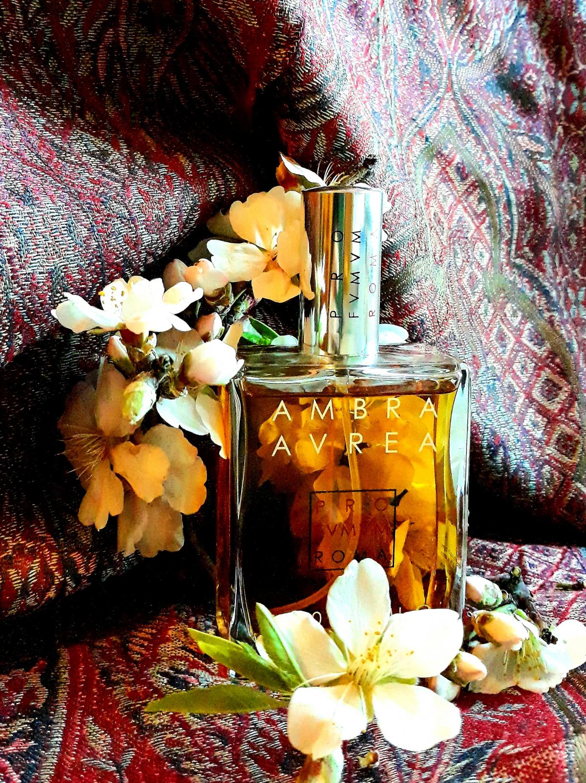 Ambra Aurea Profumum Roma perfume - a fragrância Compartilhável