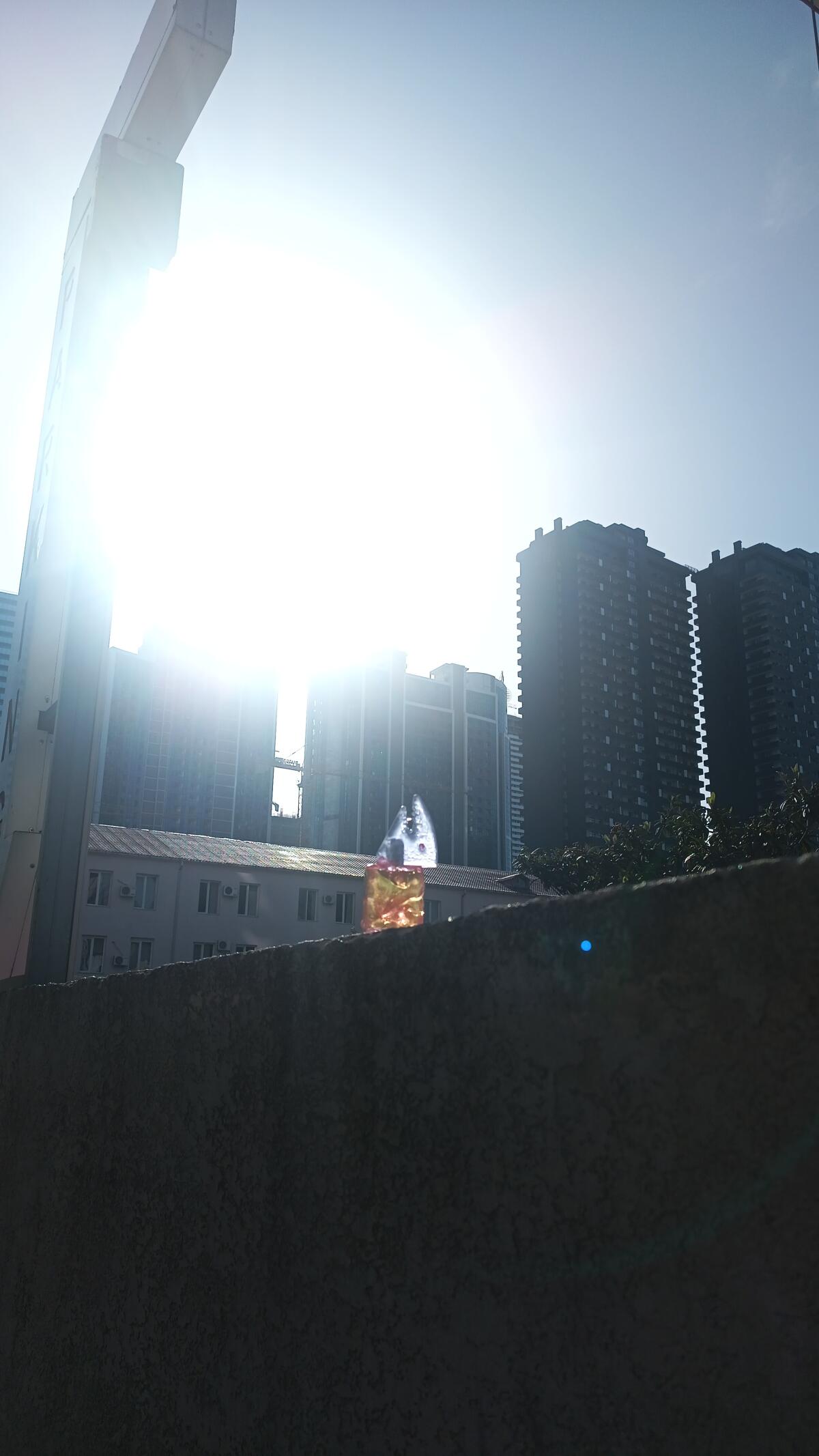 She is Fish House of Atropa perfume - a new fragrance for women and men ...