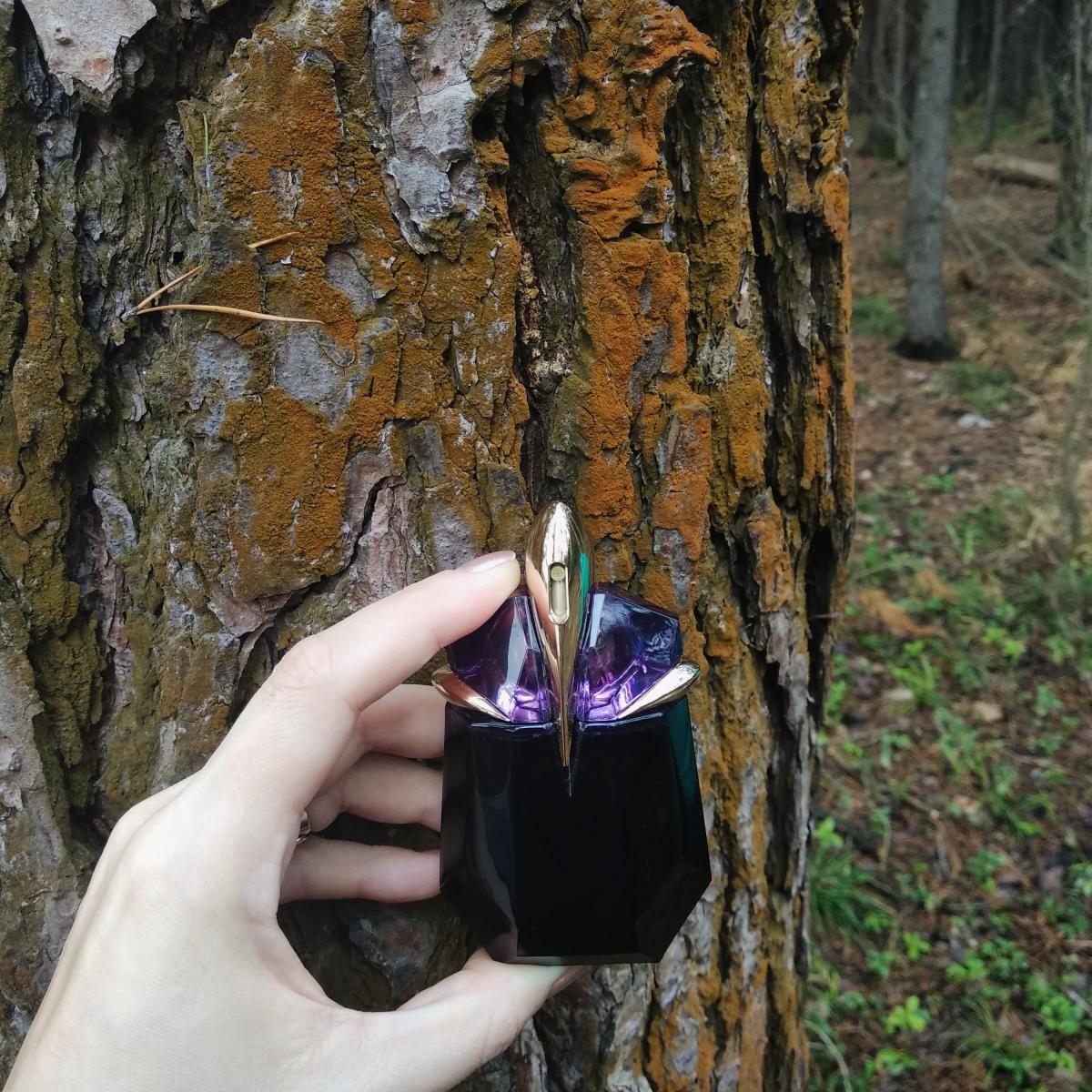 Alien Mugler fragancia - una fragancia para Mujeres 2005