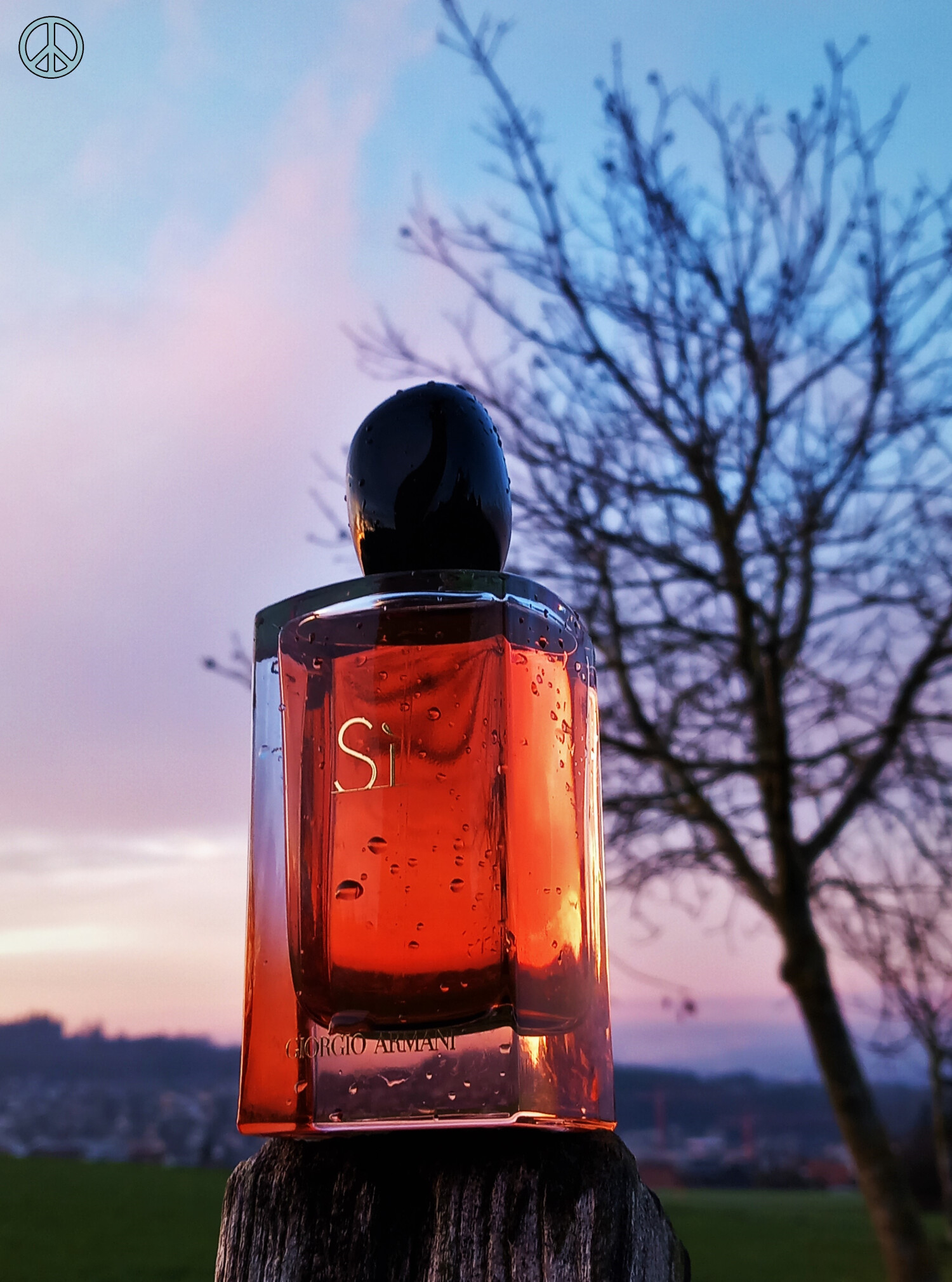 Sì Intense 2021 Giorgio Armani perfume - a fragrance for women 2021
