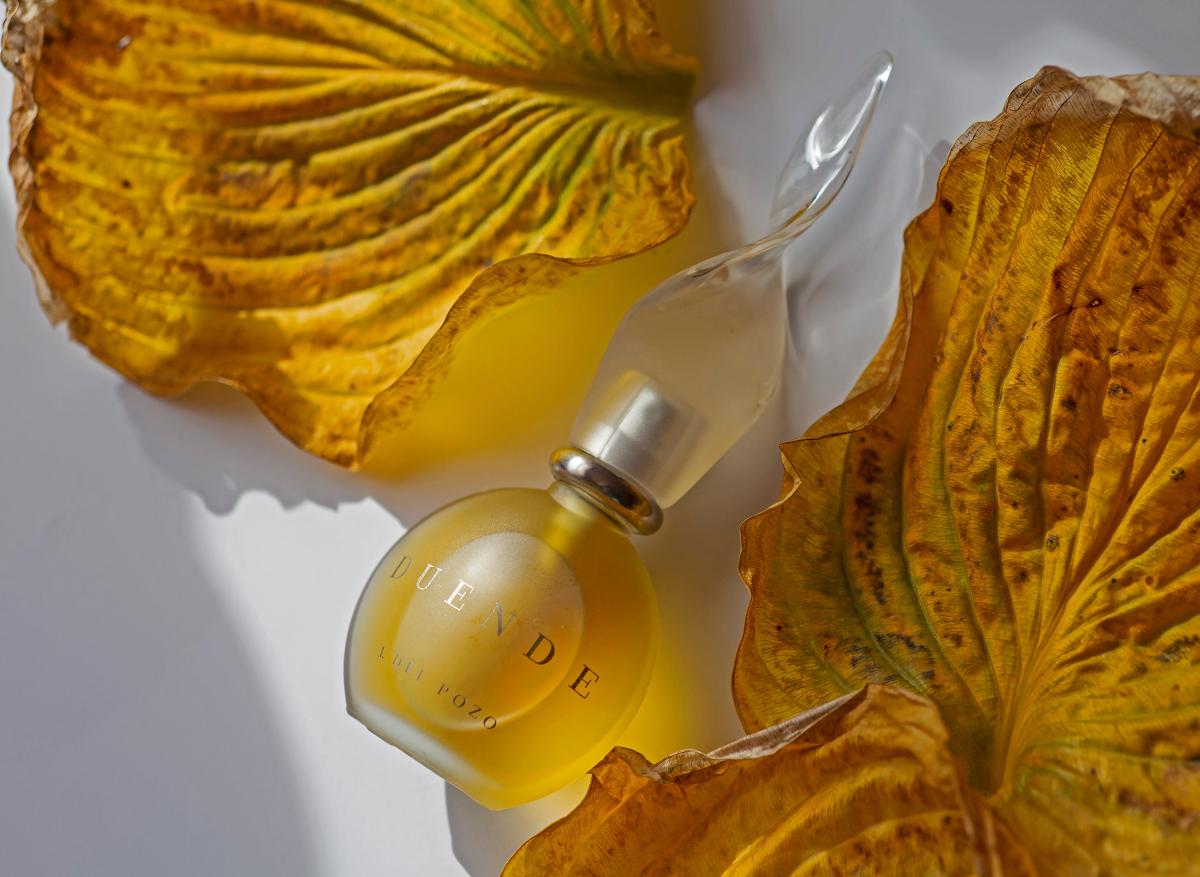 Duende Jesus Del Pozo perfume - a fragrance for women 1992