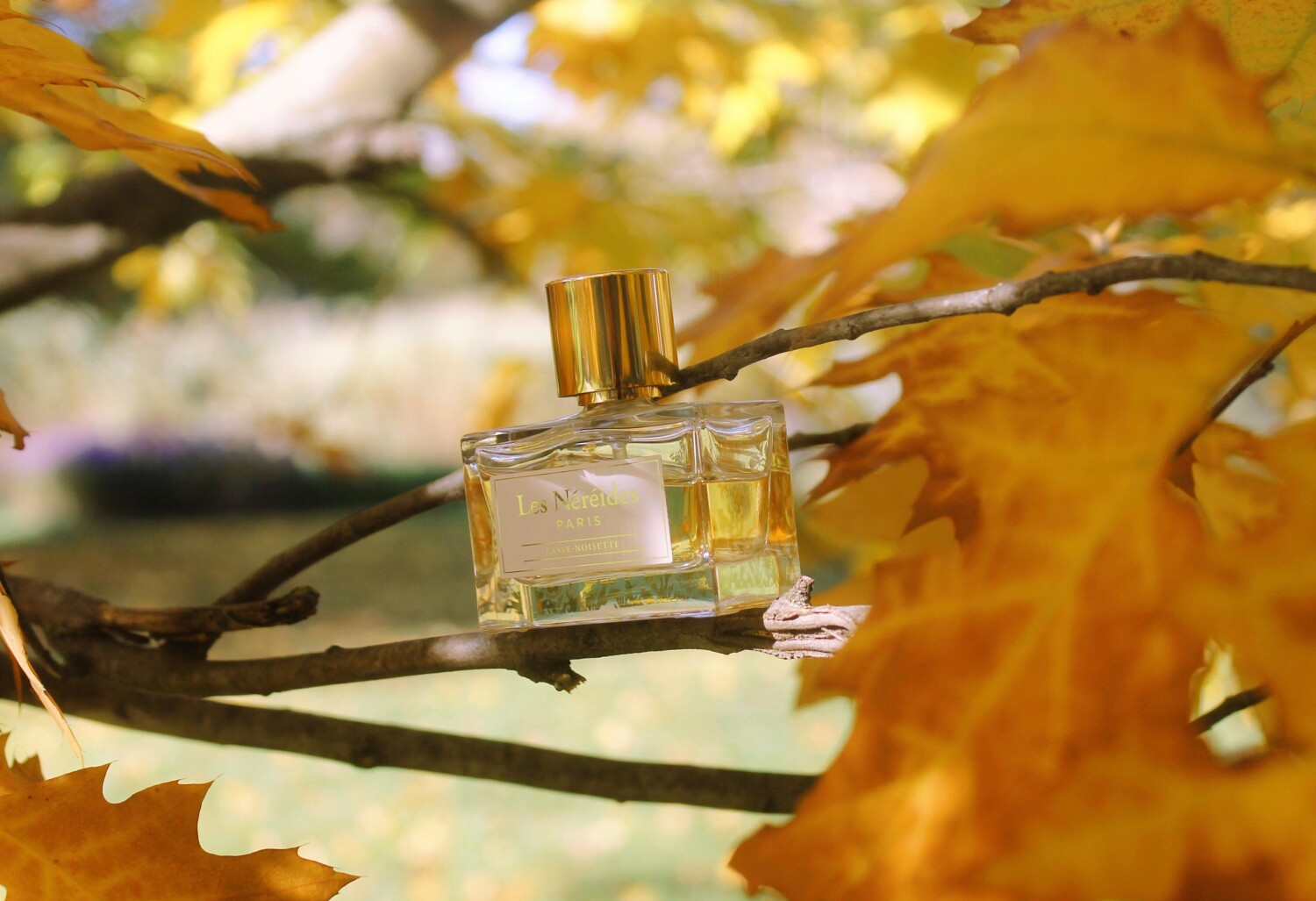 Casse-Noisette Les Nereides parfum - un nouveau parfum pour homme et ...