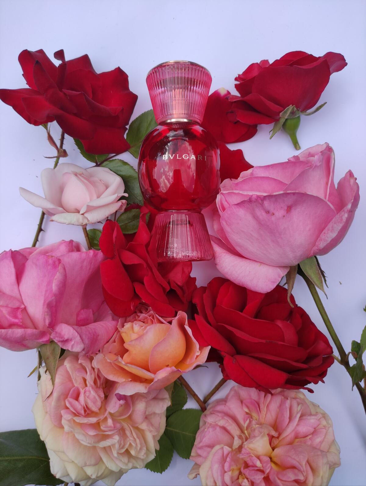 Fiori D'Amore Bvlgari parfum - un parfum pour femme 2021