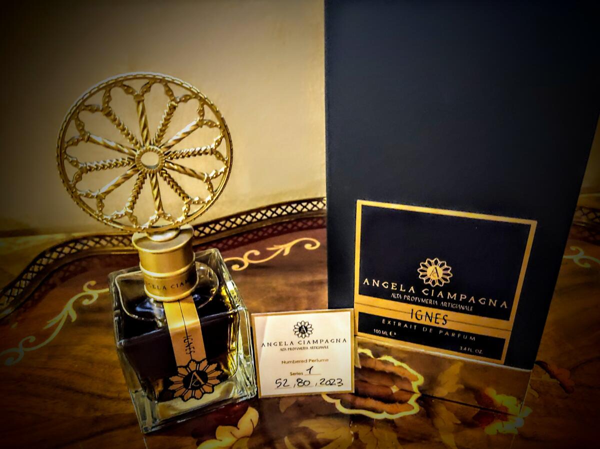 Ignes Angela Ciampagna perfume - a fragrance for women and men 2016