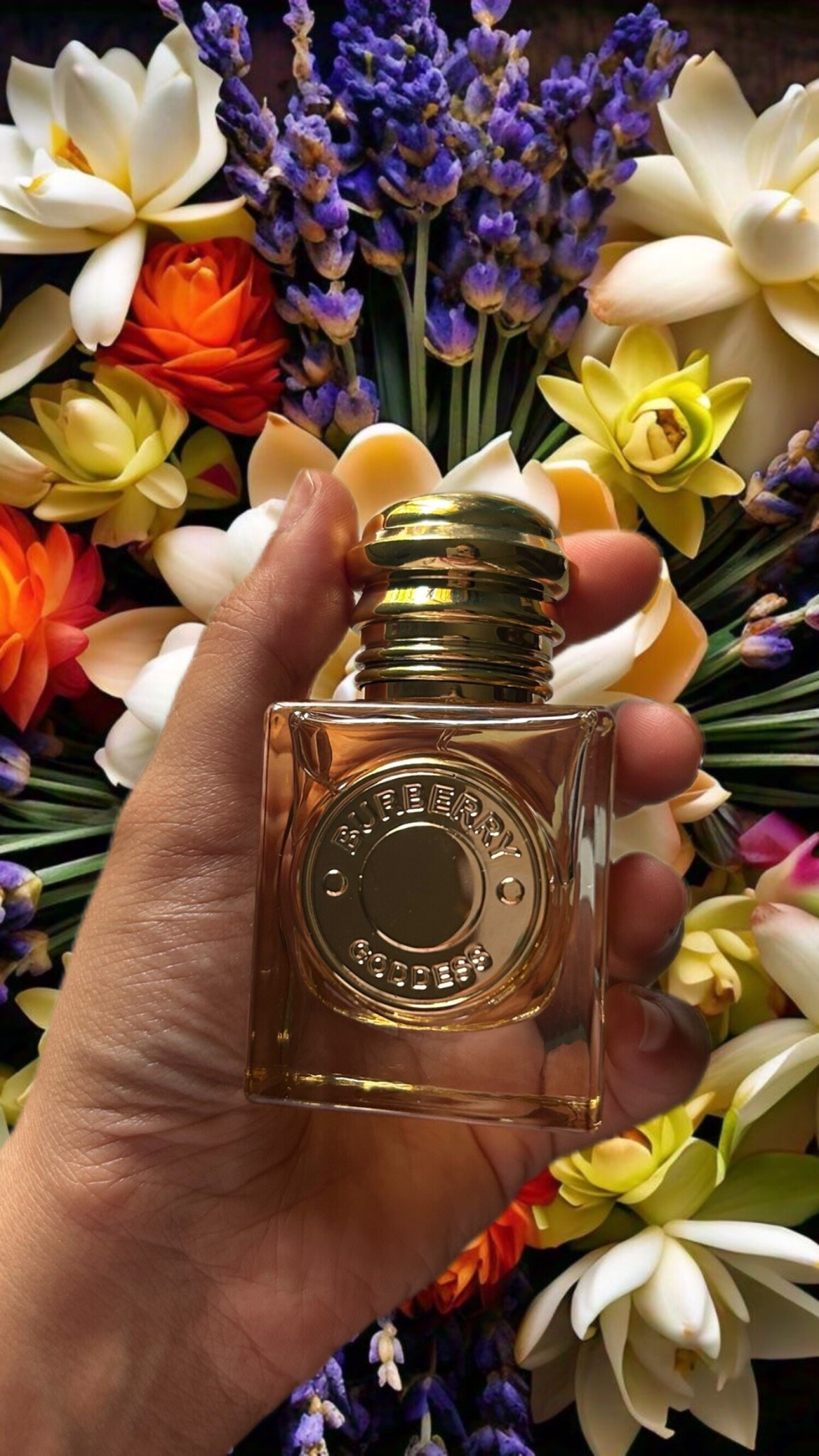 Goddess Burberry perfume - a new fragrance for women 2023