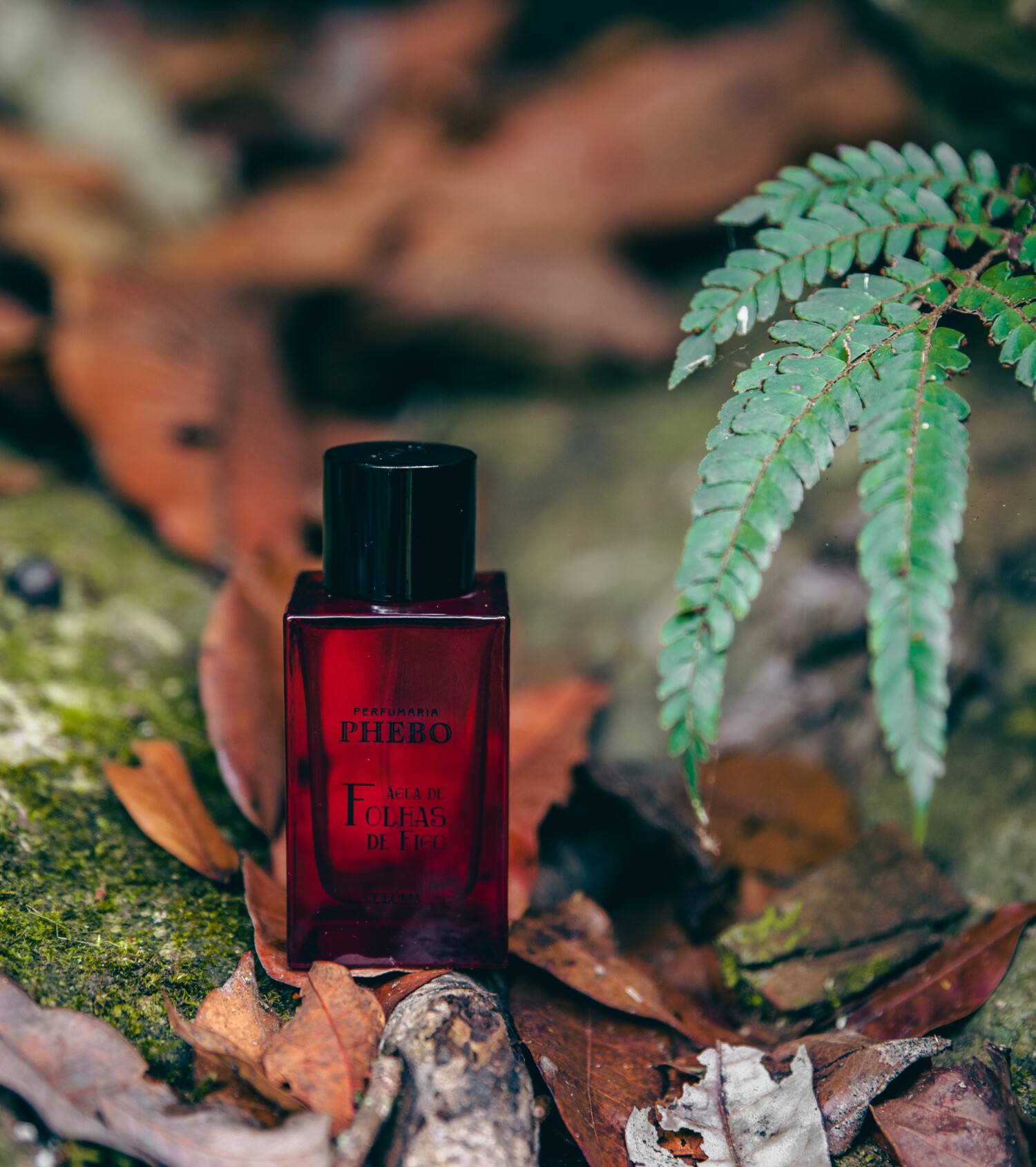 Água de Folhas de Figo Phebo perfume - a fragrance for women and men 2020