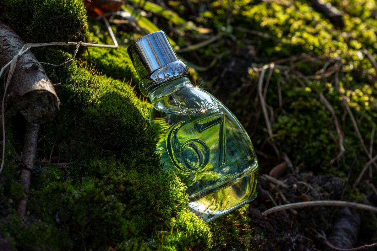 67 Artemisia Pomellato perfume - a fragrance for women and men 2014