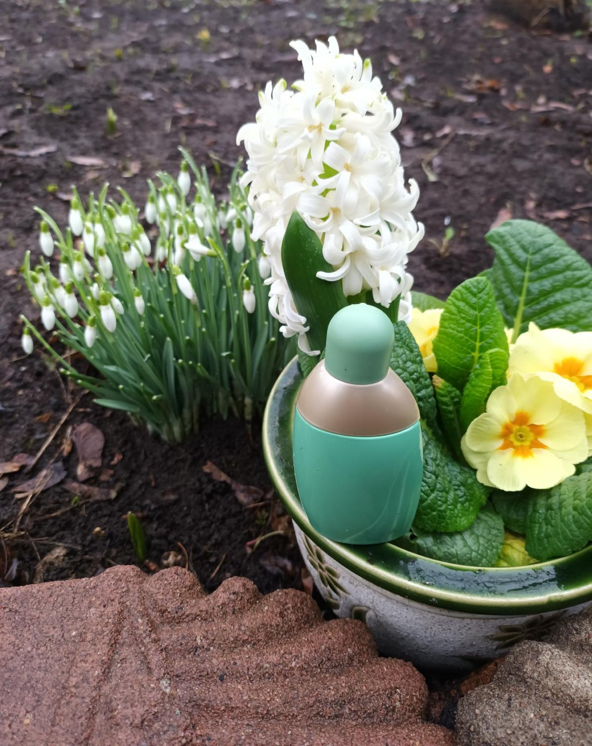 Eden Cacharel perfume - a fragrance for women 1994