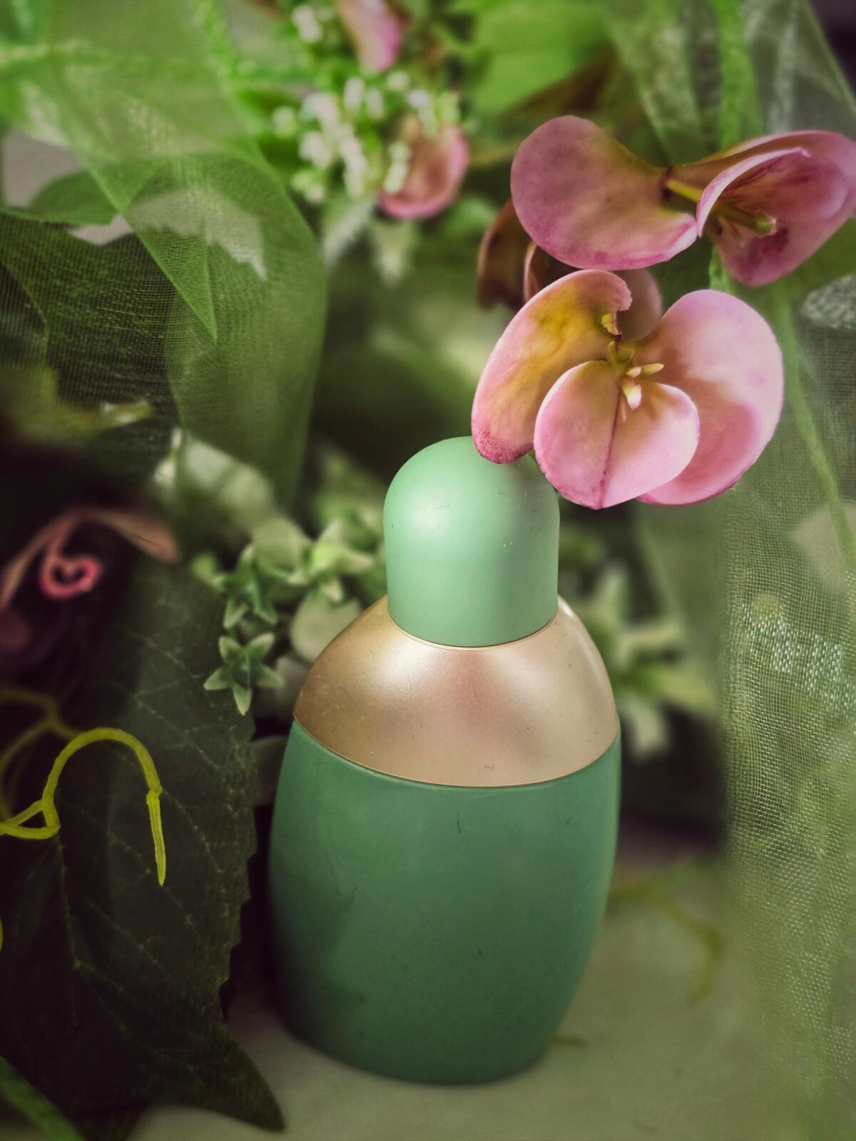 Eden Cacharel perfume - a fragrância Feminino 1994