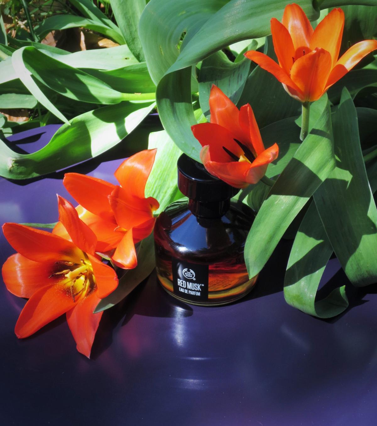 Red Musk The Body Shop perfume - a fragrance for women 2014