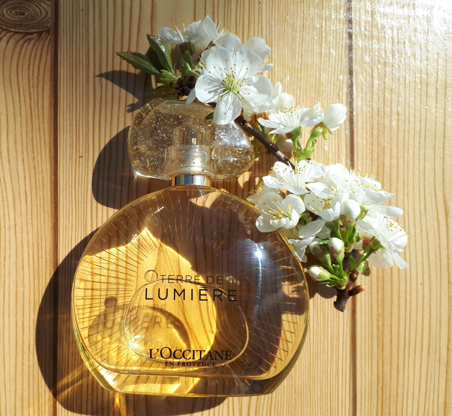 Terre de Lumiere Edition Or L'Occitane en Provence perfume - a ...