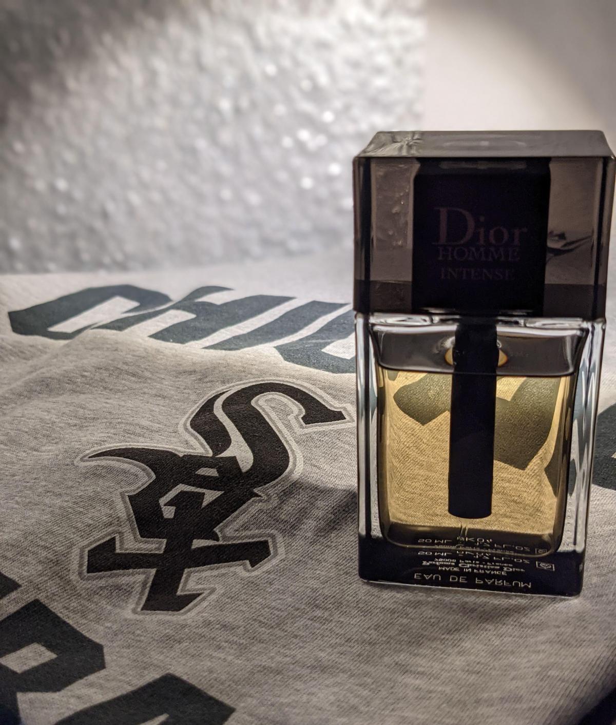 Dior Homme Intense 2011 Dior colônia - a fragrância Masculino 2011