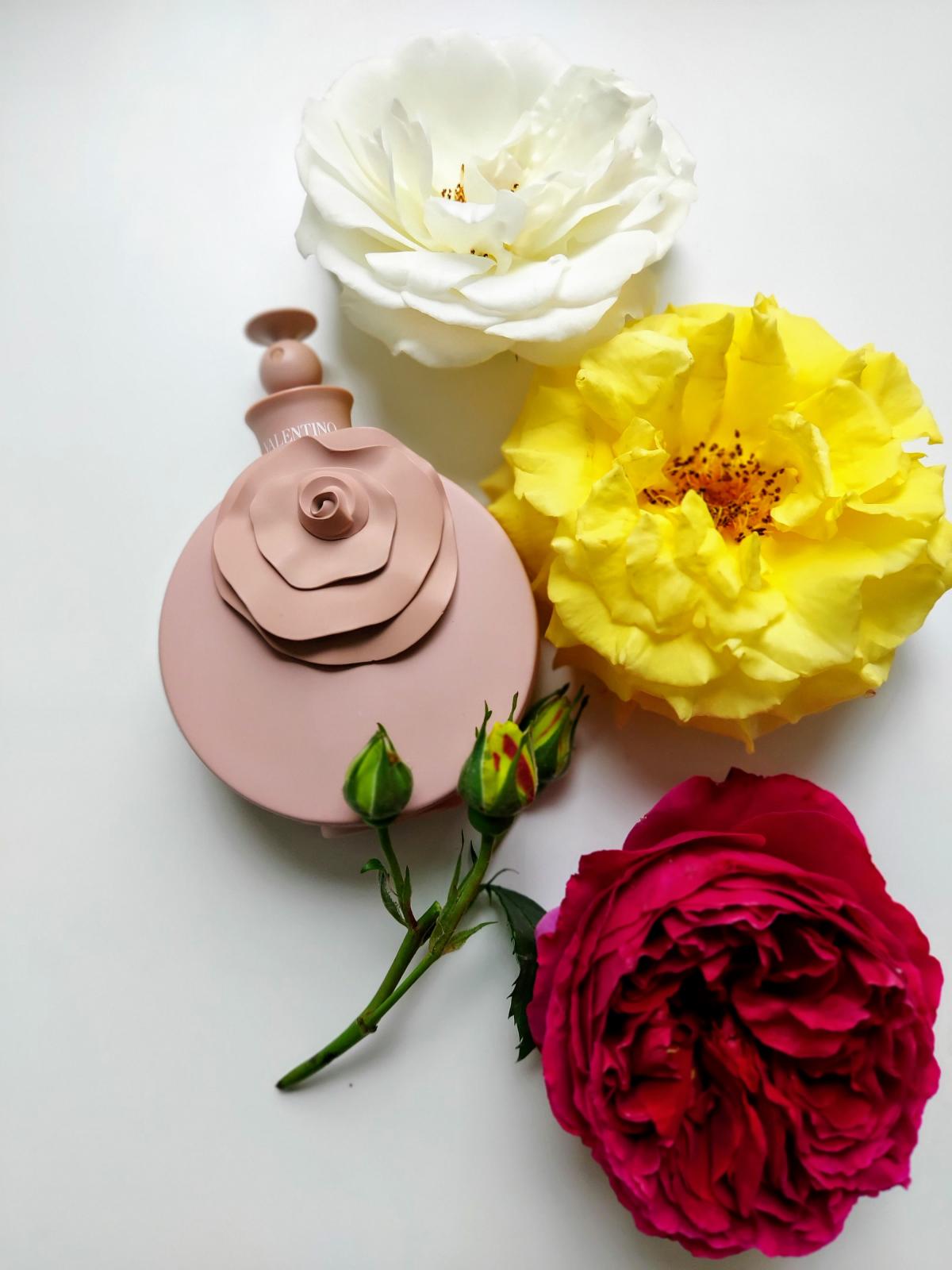 Valentina Poudre Valentino perfume - a fragrance for women 2016