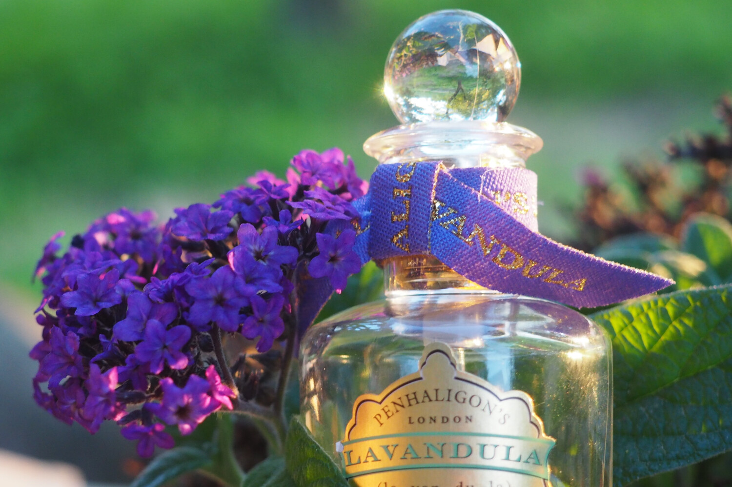 Lavandula Penhaligon's perfume - a fragrance for women and men 2002