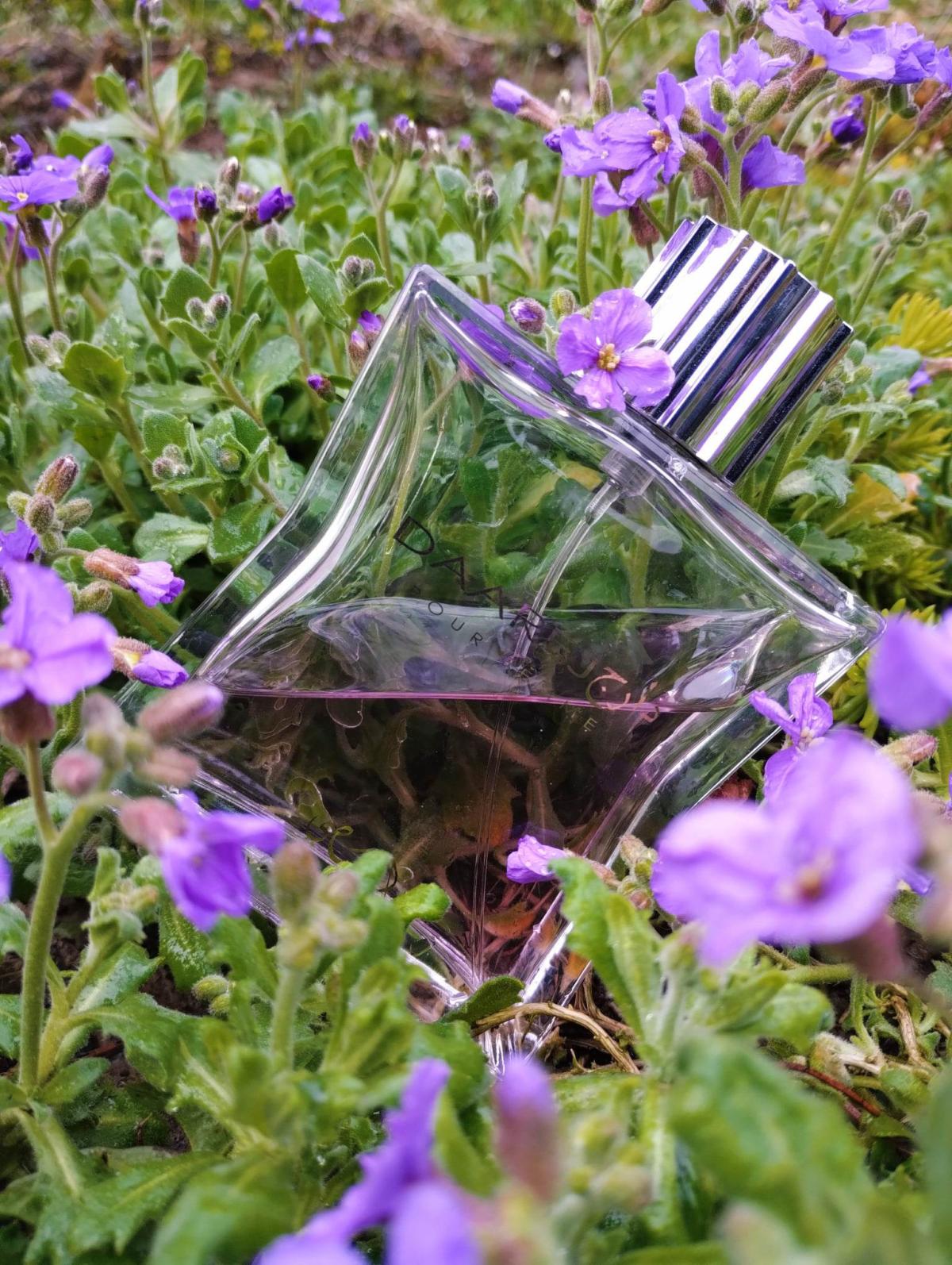 Daarej pour Femme Rasasi perfume - a fragrance for women