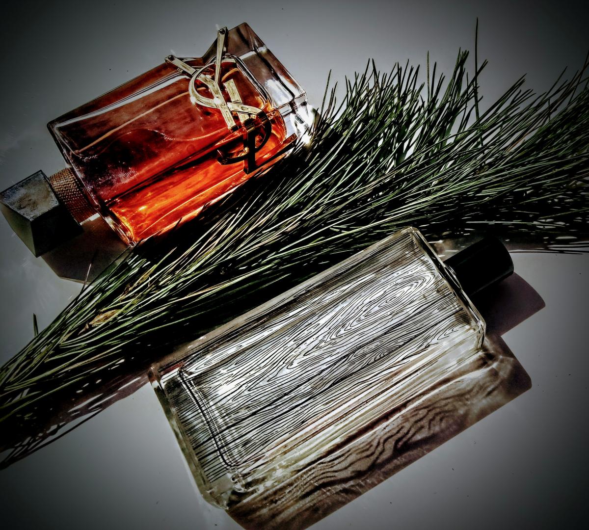 Libre Intense Yves Saint Laurent perfume - a new fragrance for women 2020
