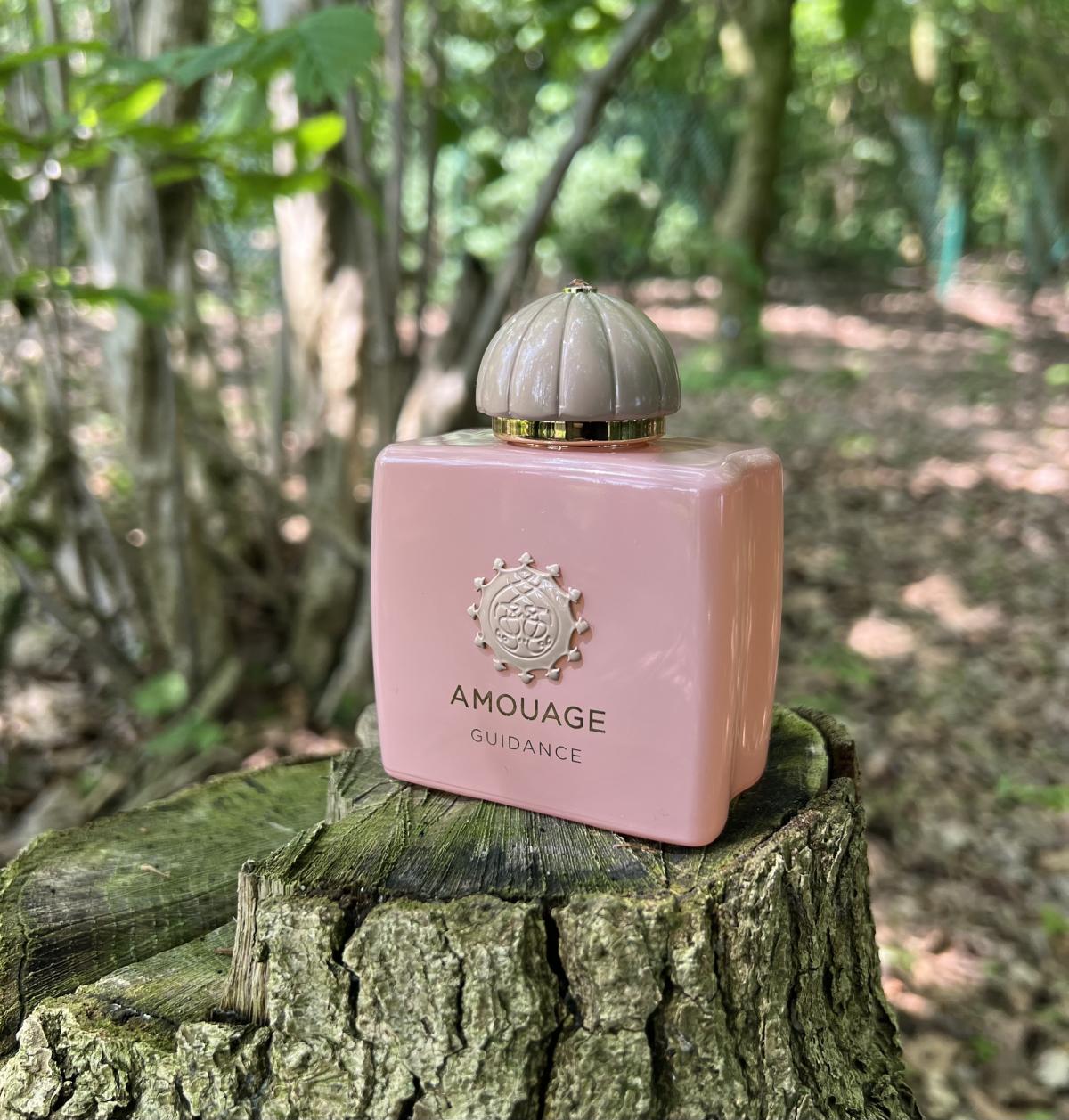 Guidance Amouage perfume - a new fragrance for women and men 2023