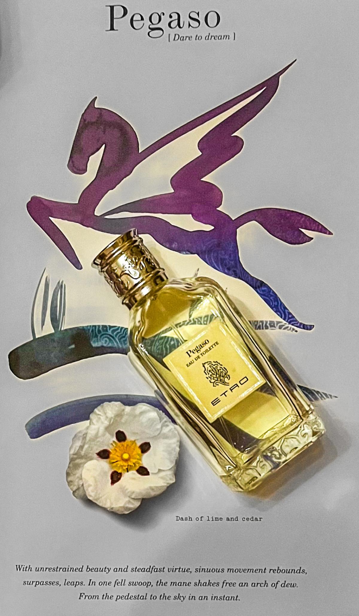 Pegaso Etro perfume - a fragrance for women and men 2009