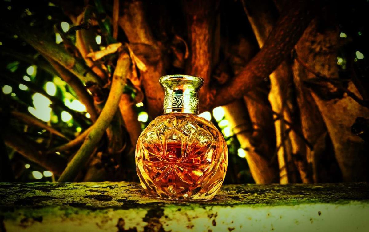 Safari Ralph Lauren perfume - a fragrance for women 1990