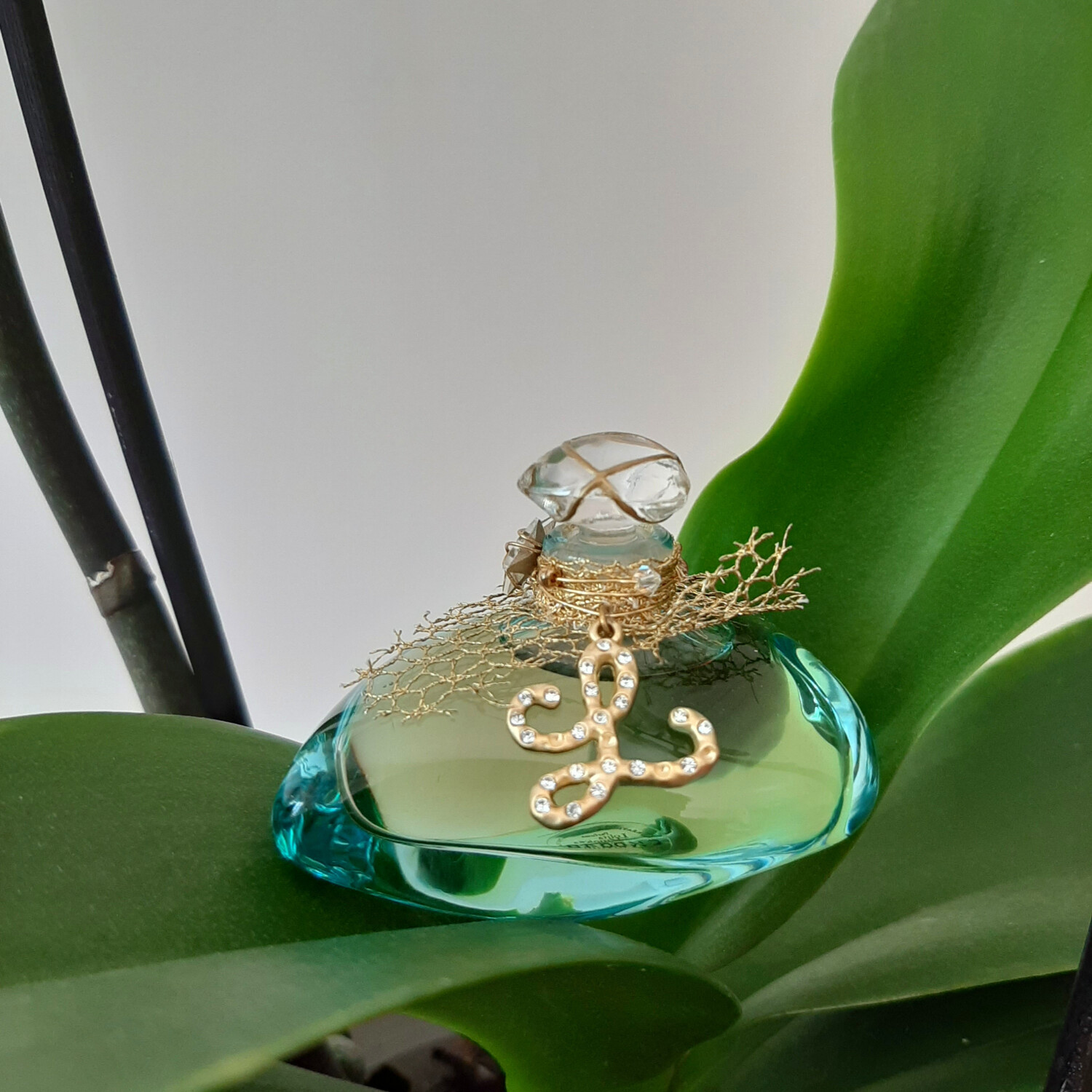 L de Lolita Lempicka Lolita Lempicka perfume - a fragrance for women 2006