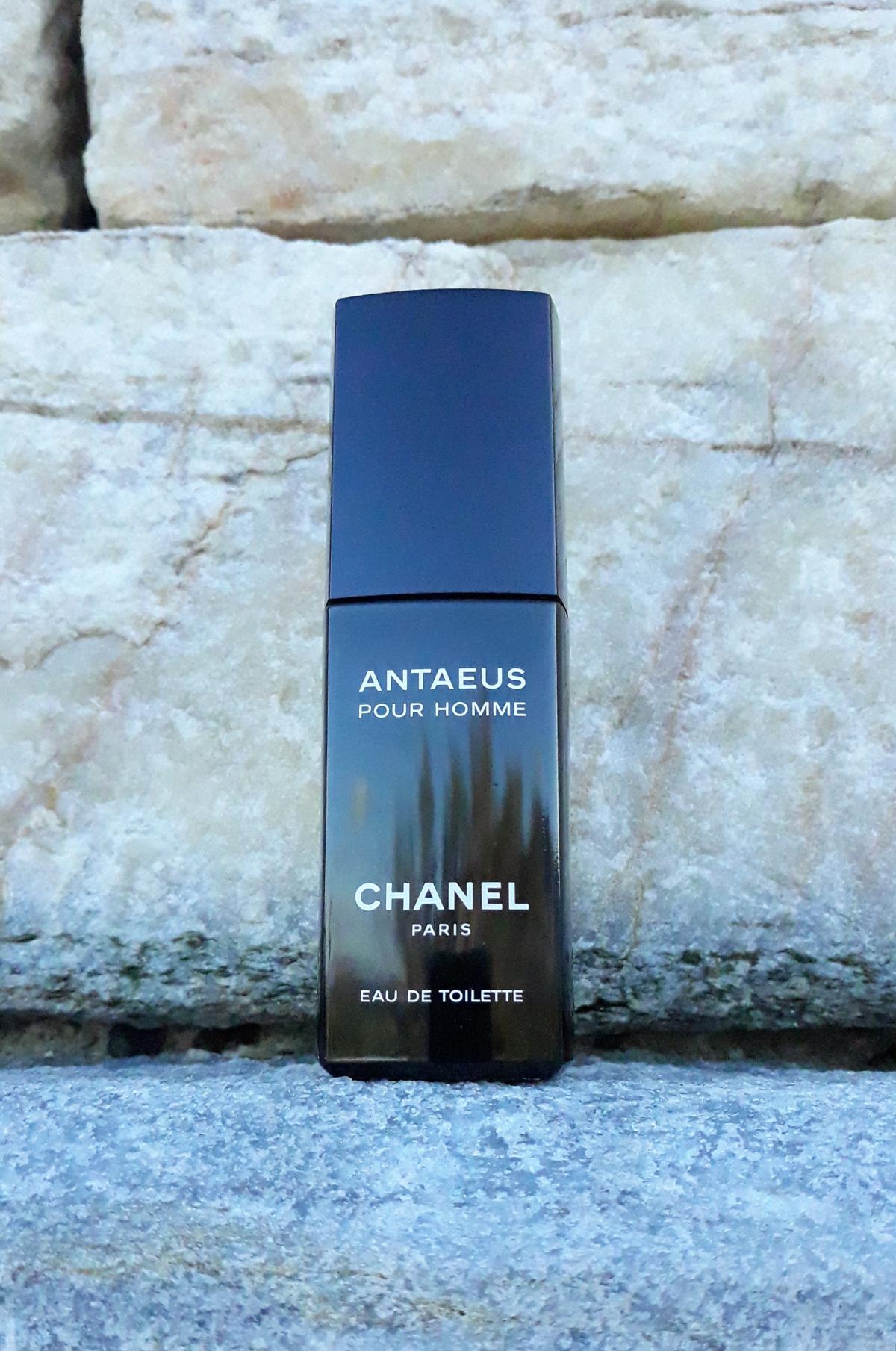Antaeus Chanel cologne - a fragrance for men 1981