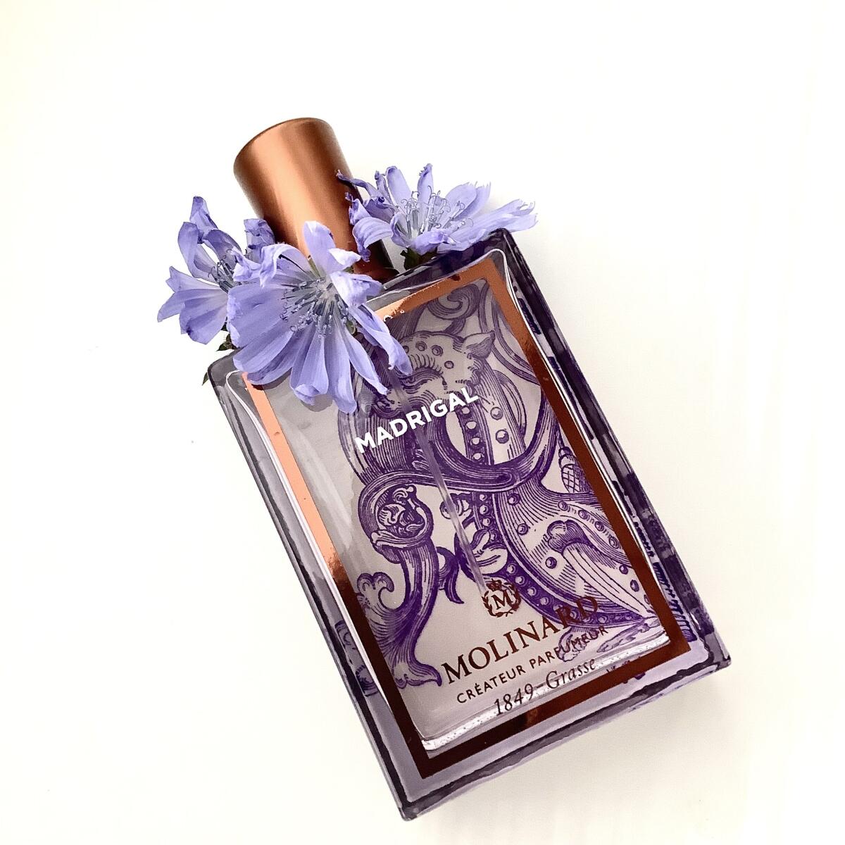 Madrigal Molinard perfume - a fragrance for women and men 2022