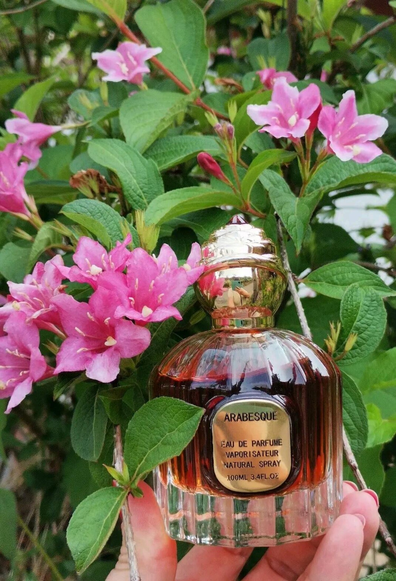 Arabesque Aurora Scents parfum - un parfum pour homme et femme 2022