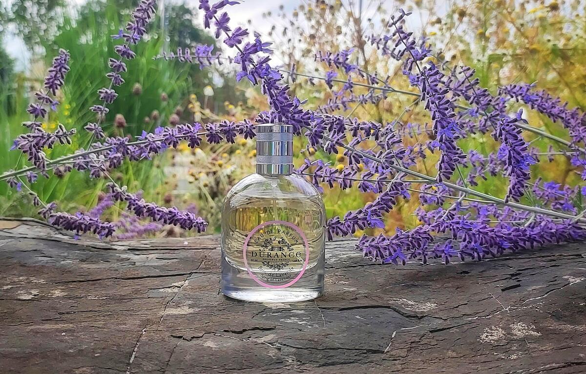 Eau de Parfum Brin de Lavande Durance en Provence perfume - a fragrance ...