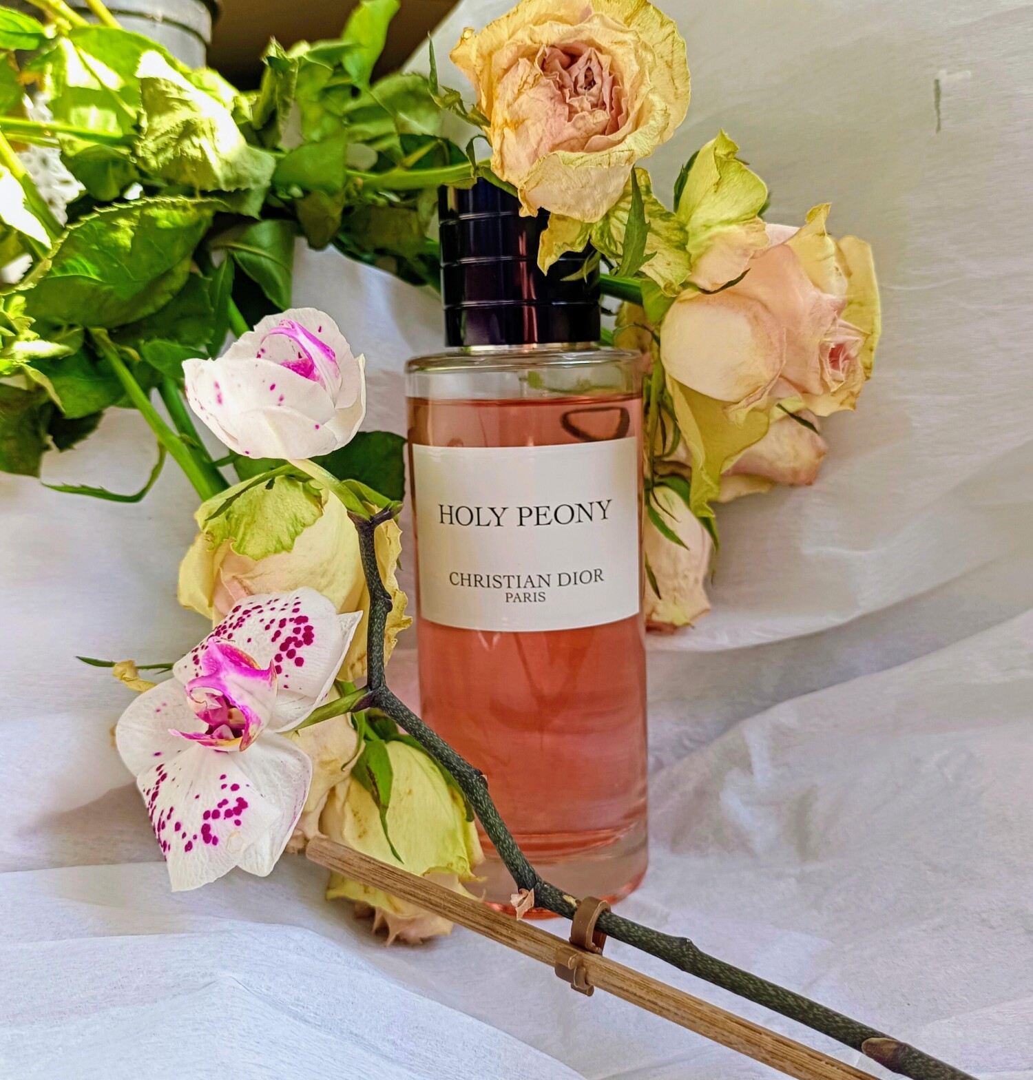 Holy Peony Dior perfume - a fragrance for women 2019