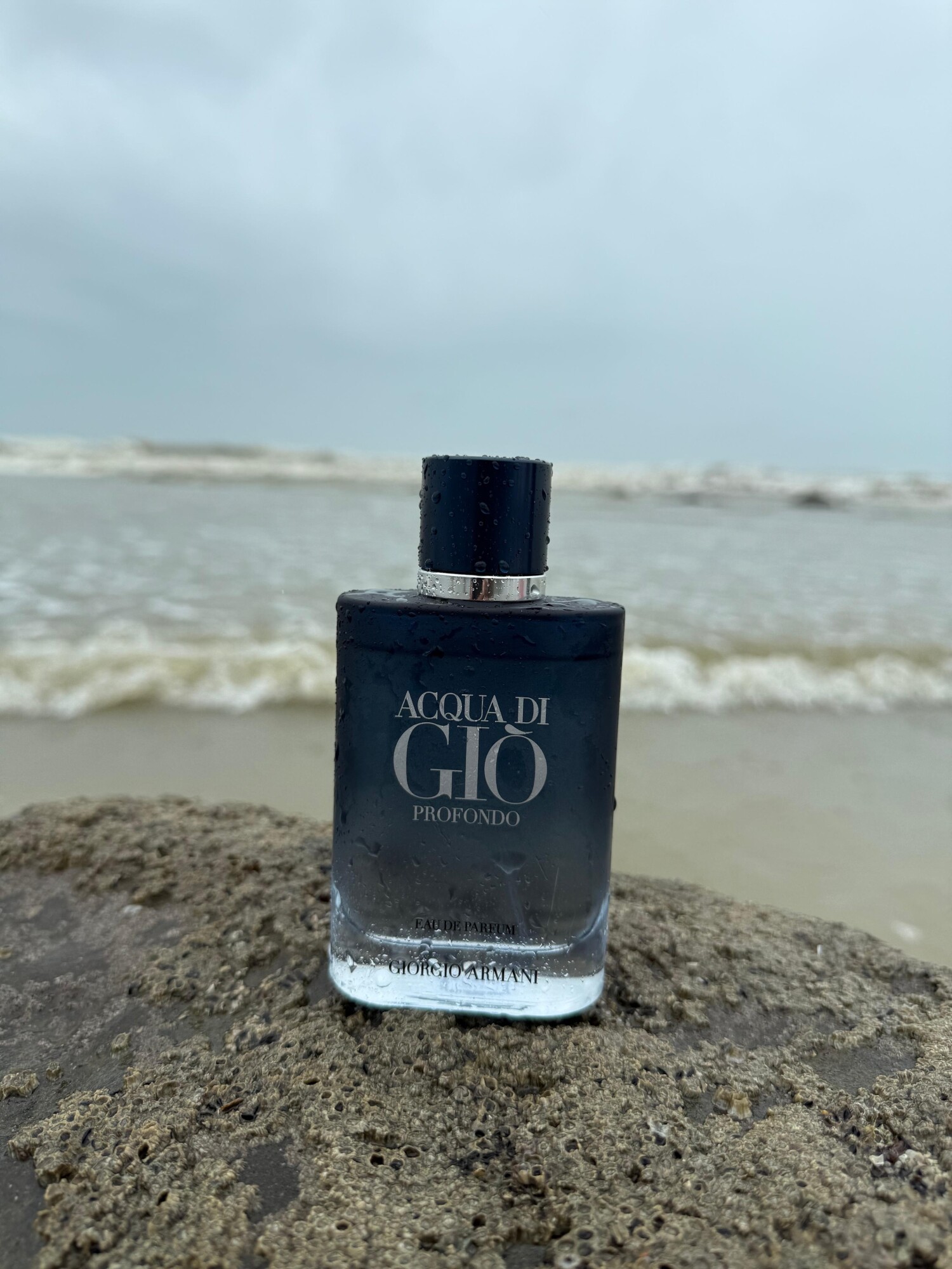 Acqua di Giò Profondo Eau de Parfum (2024) Giorgio Armani cologne - a ...