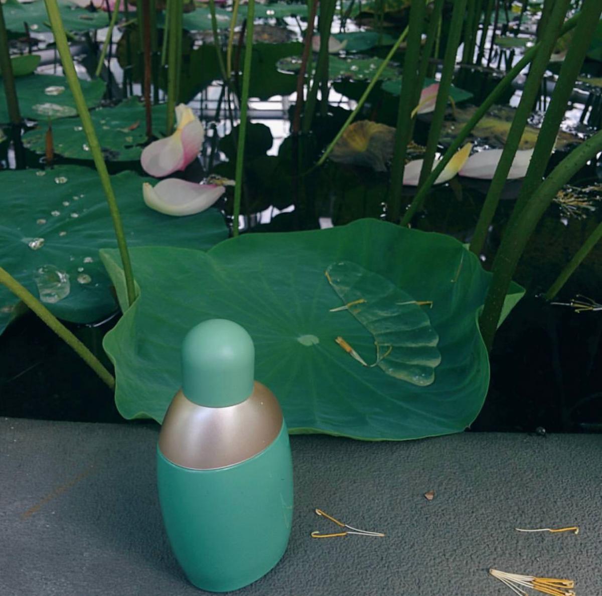 Eden Cacharel perfume - a fragrance for women 1994