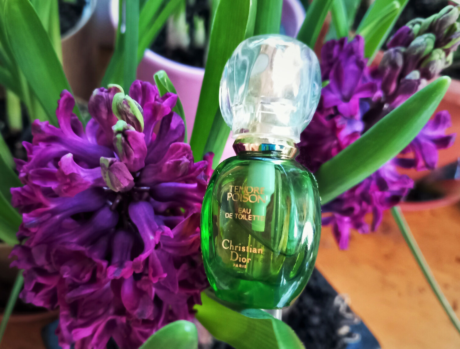 Tendre Poison Dior perfume - a fragrance for women 1994